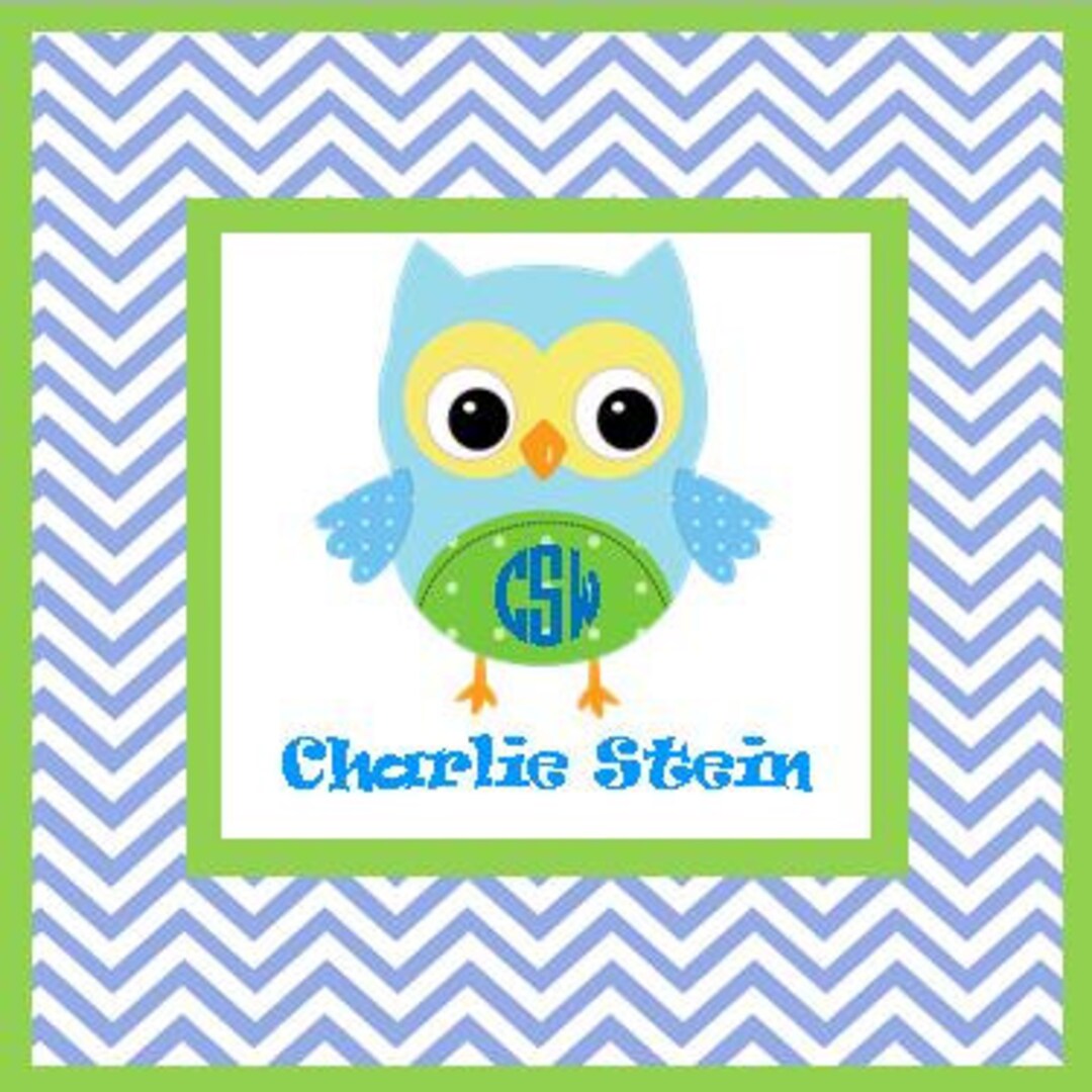 Boy Owl Gift Enclosures set of 24 Gift Card Enclosure Cards - Etsy