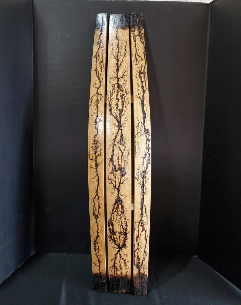 Fractal Wood Art (struck by Lightning Effect) - Etsy