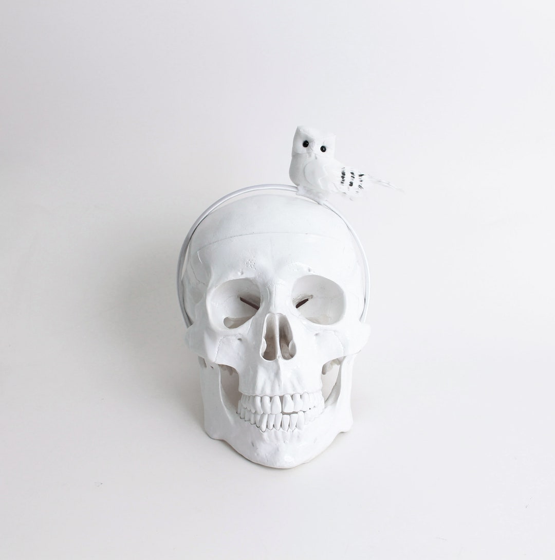 Owl Headband, Owl Headpiece, White Owl Fascinator, Black White Headband ...