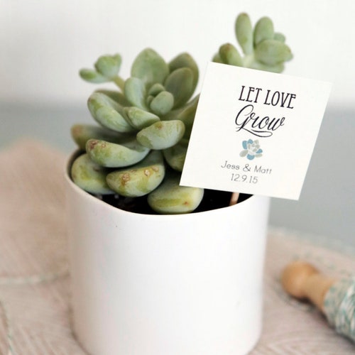 Let Love Grow Succulent Tag Succulent Stakes Wedding - Etsy