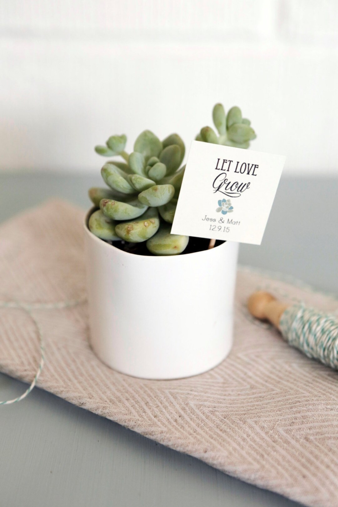 CUSTOMIZABLE Let Love Grow Tags | Wedding Succulent Favor Tags | Bridal ...