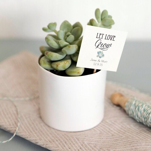 CUSTOMIZABLE Let Love Grow Tags Wedding Succulent Favor Tags - Etsy