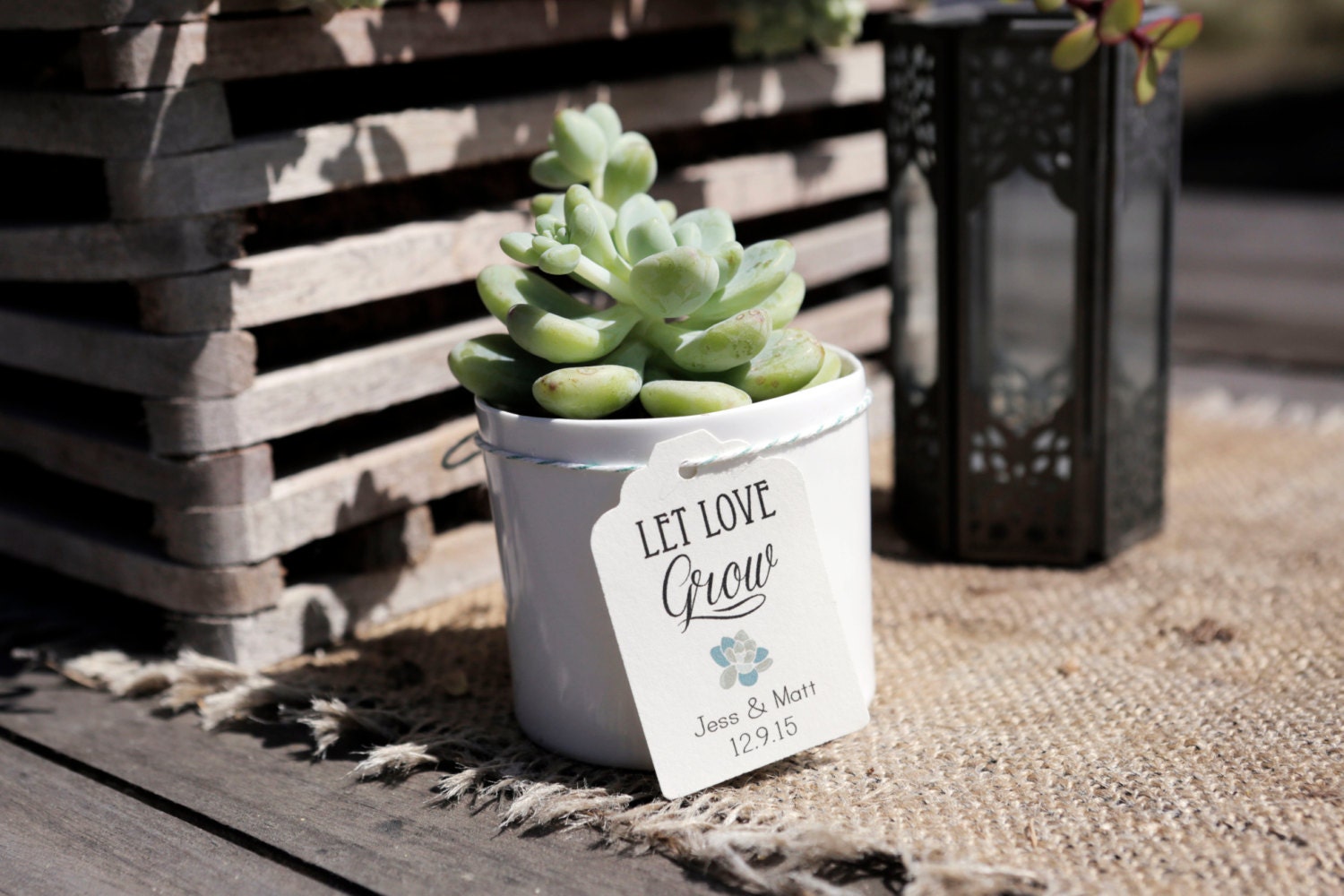 Set of 25 CUSTOM Let Love Grow Succulent Favor Tags Wedding | Etsy
