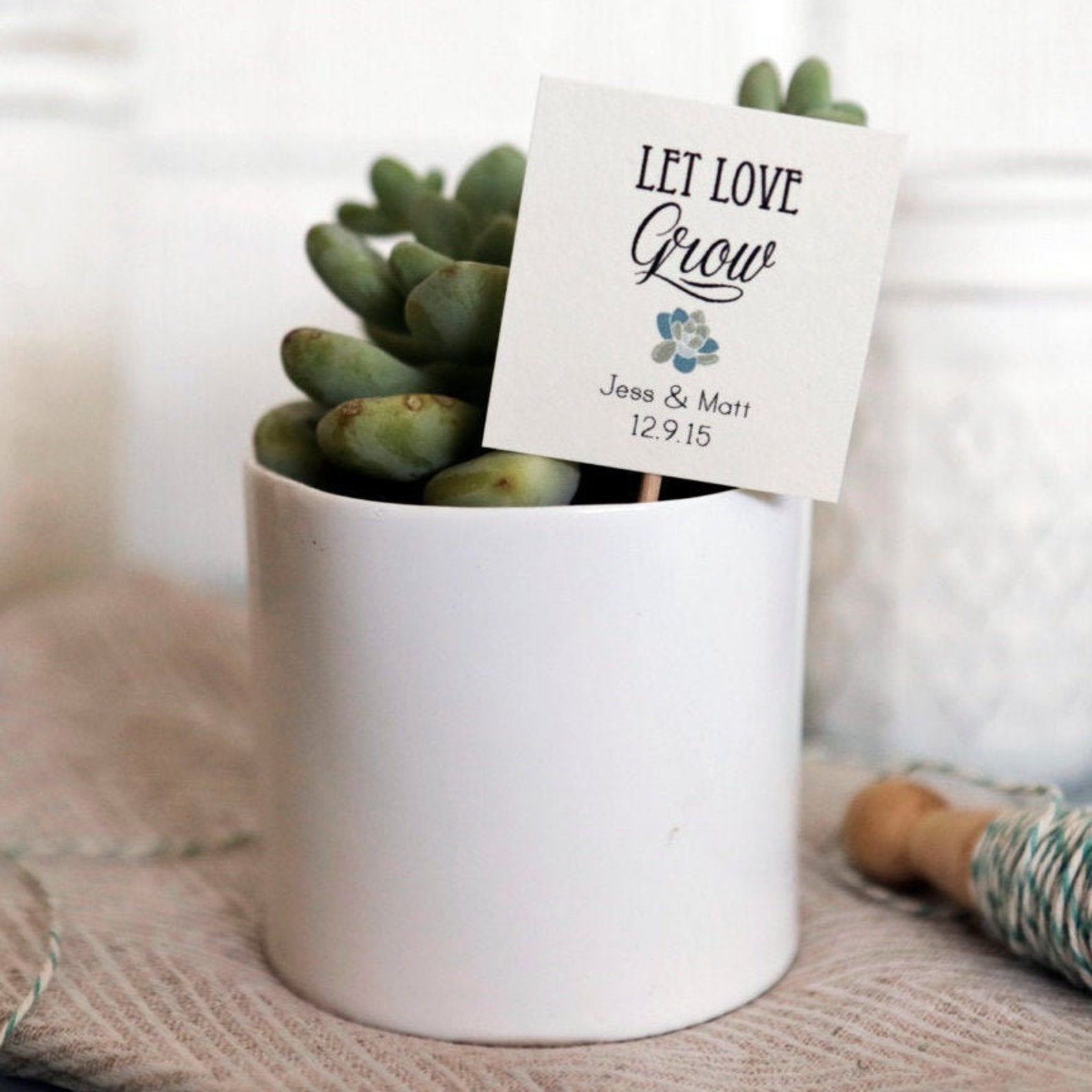 CUSTOMIZABLE Let Love Grow Tags Wedding Succulent Favor Tags - Etsy