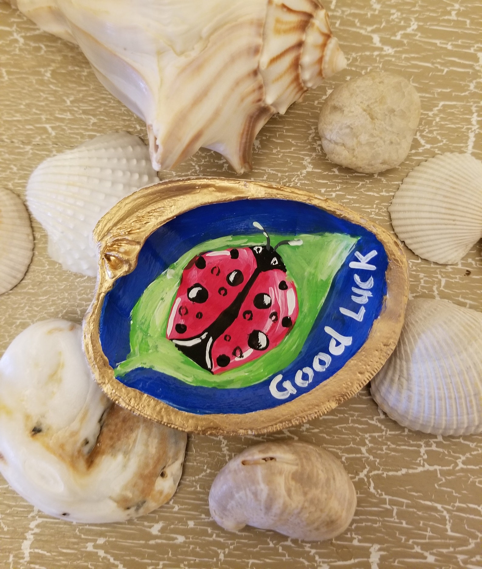 Hand-Painted Shell Ladybug ArtArt on Shell Seashell Art | Etsy