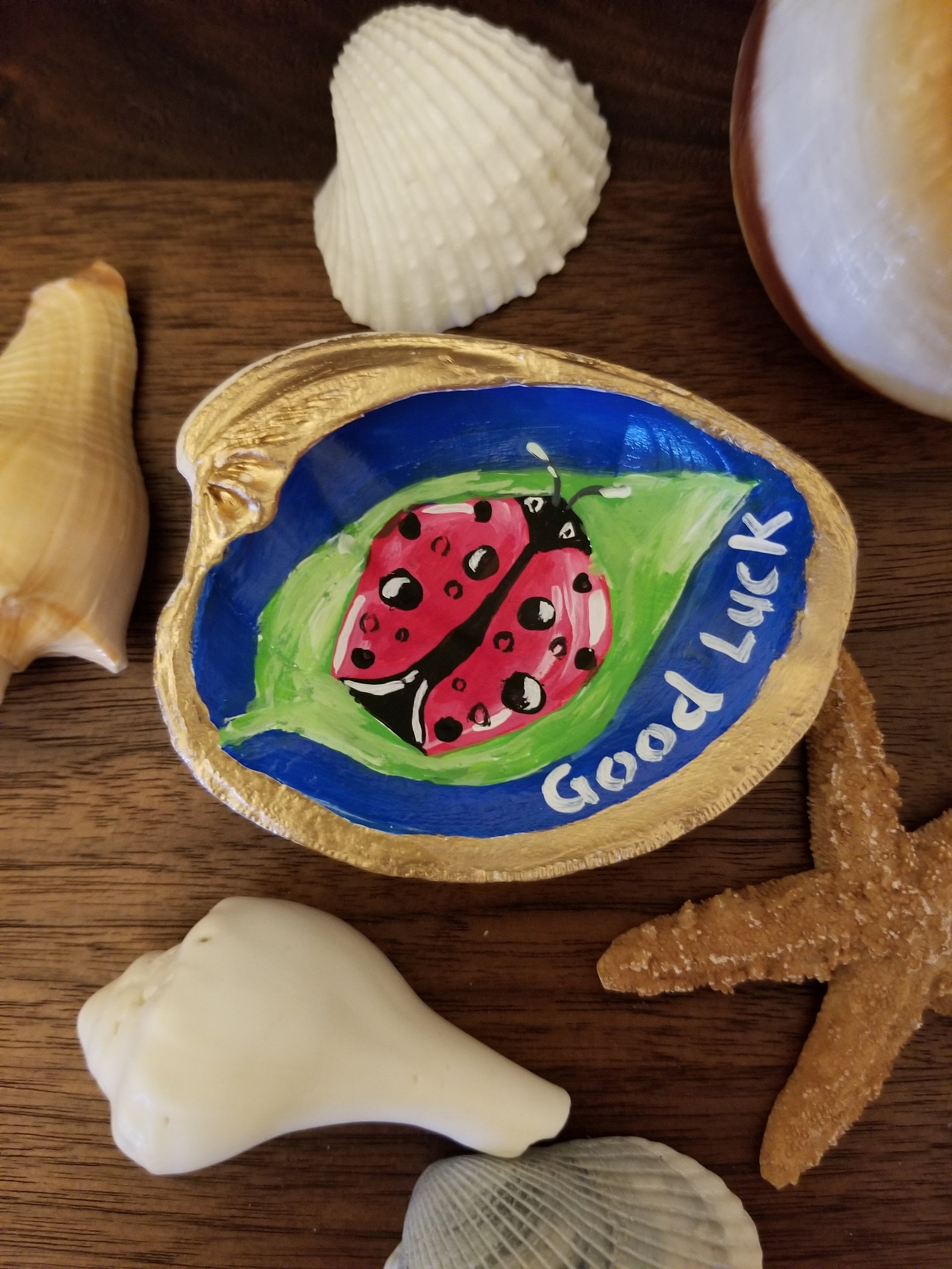 Hand-Painted Shell Ladybug ArtArt on Shell Seashell Art | Etsy