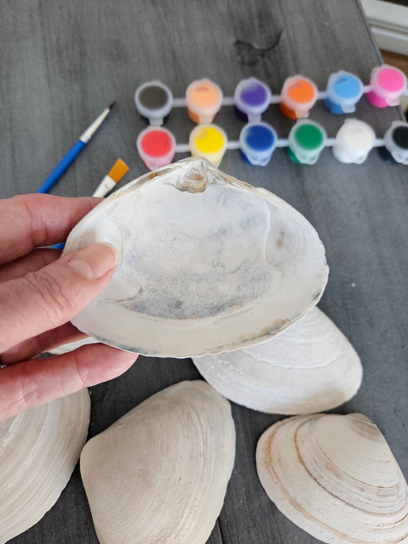 Bulk Shells, Art Kits for Kids and Adults, DIY Painting Sets, Craft ...