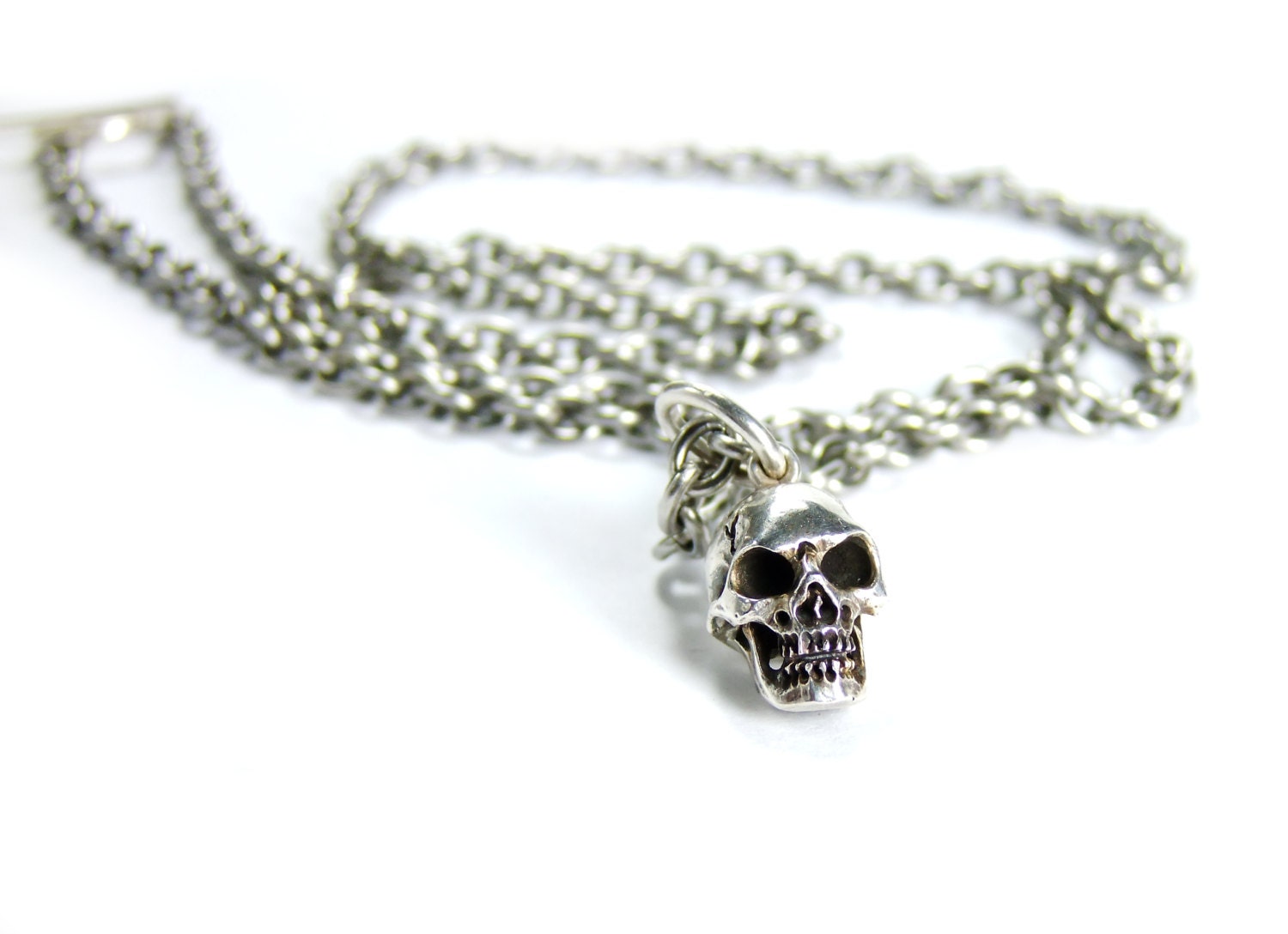 Skull Necklace, Long Steel Chain, Goth Skull Pendant, Memento Mori ...