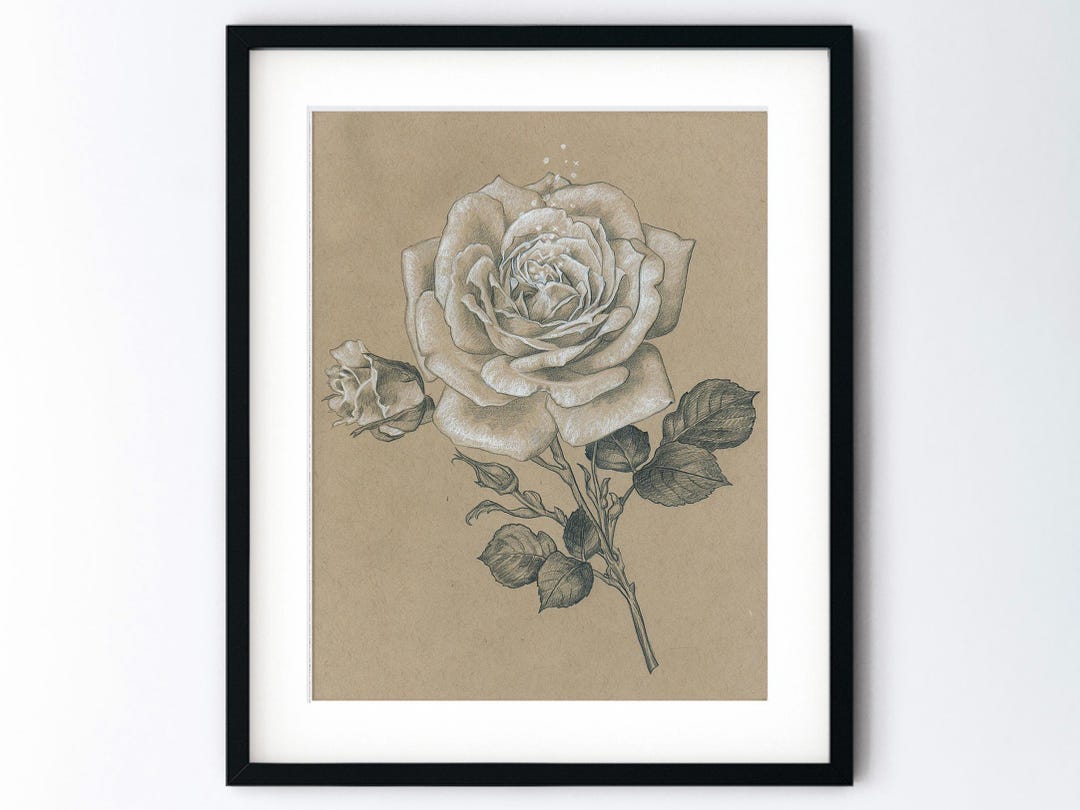 Rose Drawing Art Print Monochrome Flower Botanical Pencil Sketch ...