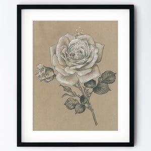 Rose Drawing Art Print - Monochrome Flower - Botanical Pencil Sketch ...