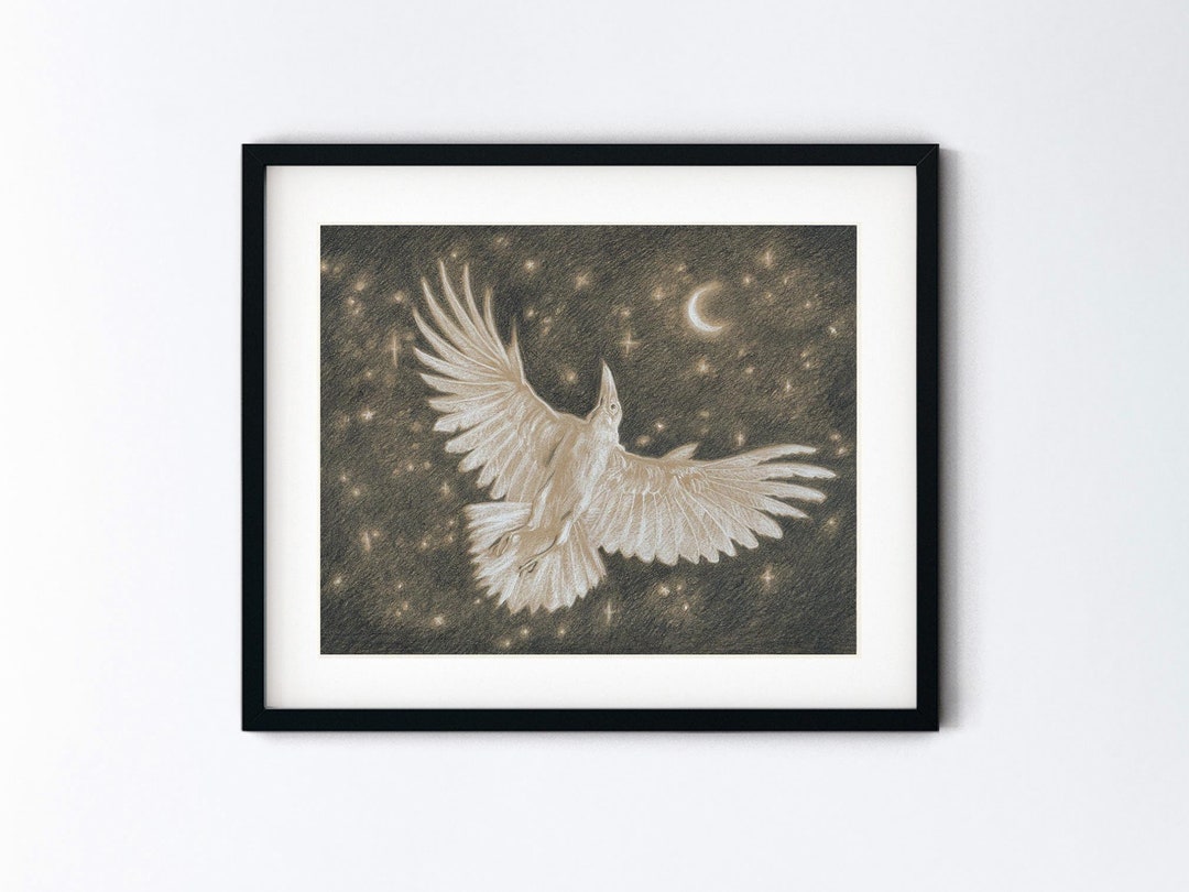 White Raven Art Print - Albino Crow and Crescent Moon Drawing - Pencil ...