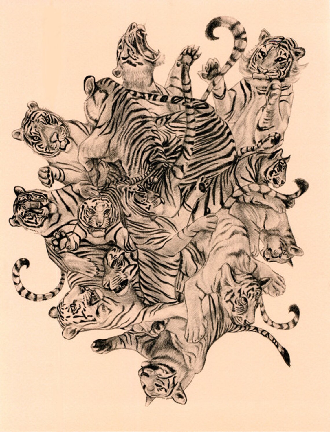 Tigers Art Print - Surrealist Tiger Stripes Line Art - Big Cat Sketch ...
