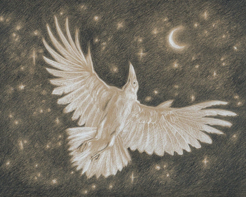 White Raven Art Print Albino Crow and Crescent Moon Drawing Pencil ...