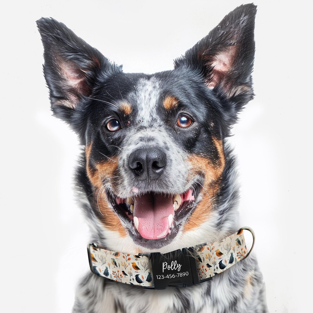 Custom Boho Birds Dog Collar and Leash Set With Personalization ...