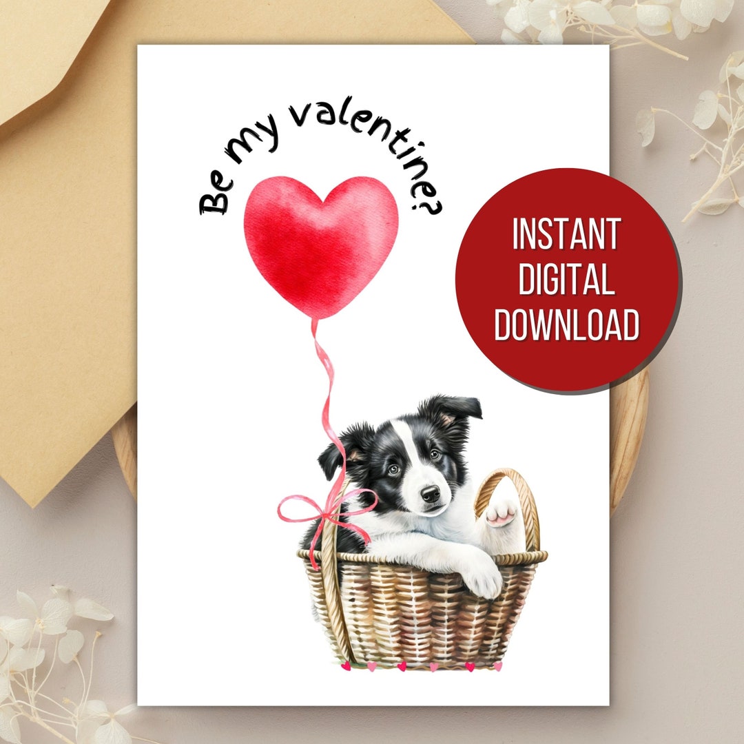 Border Collie, Valentines Day, Printable Cards, (instant Download) - Etsy