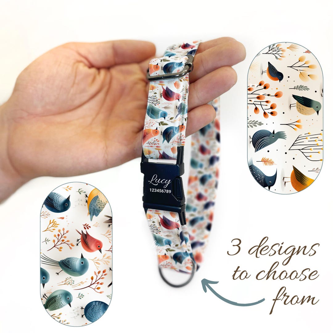 Custom Bird Dog Collar and Leash Set With Dog Name Engraved on Metal ...