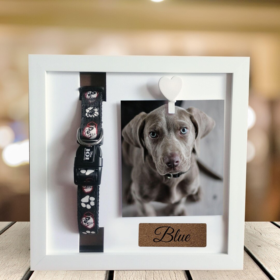 Personalized Pet Memorial Photo and Collar Display Frame Dog Collar ...