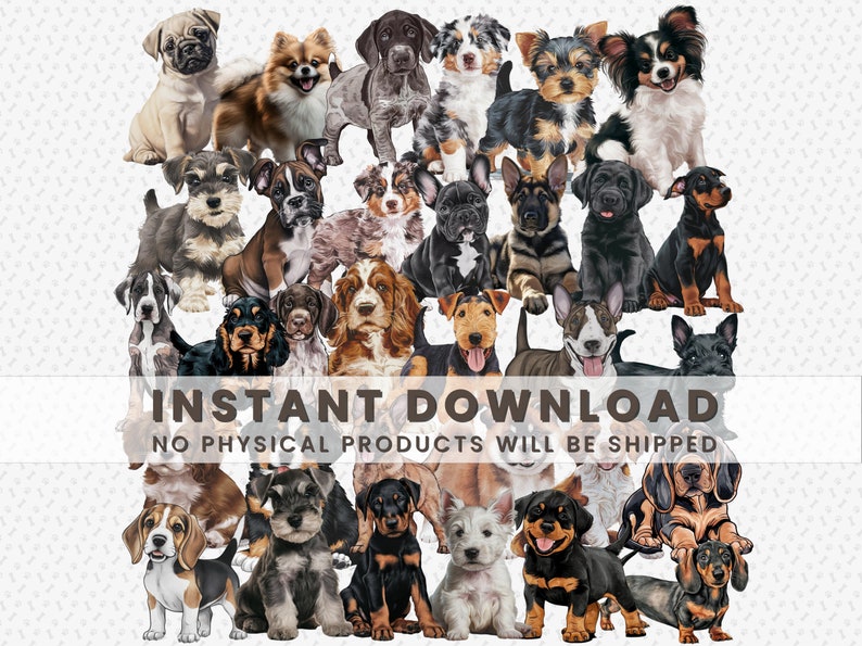 Puppies Clipart, Puppy Bundle Clip Art, 60 Dog Breeds, PNG Bundle, Pet ...