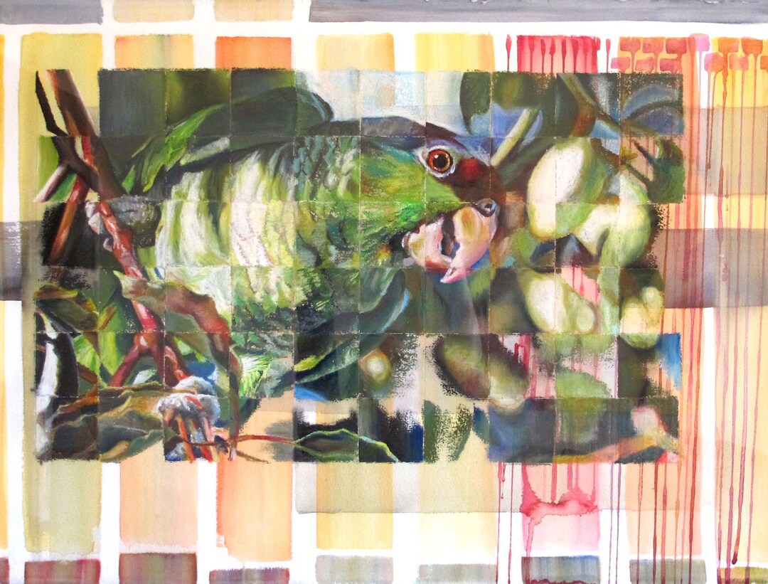 ROSE-CROWNED CONURE - Limited Edition Reproduction - Etsy