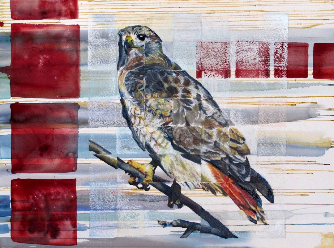 RED-TAILED HAWK - Limited Edition Reproduction - Etsy