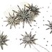 Deco Star Burst Hair Pins, Silver Rhinestone Star Headpiece, Deco ...