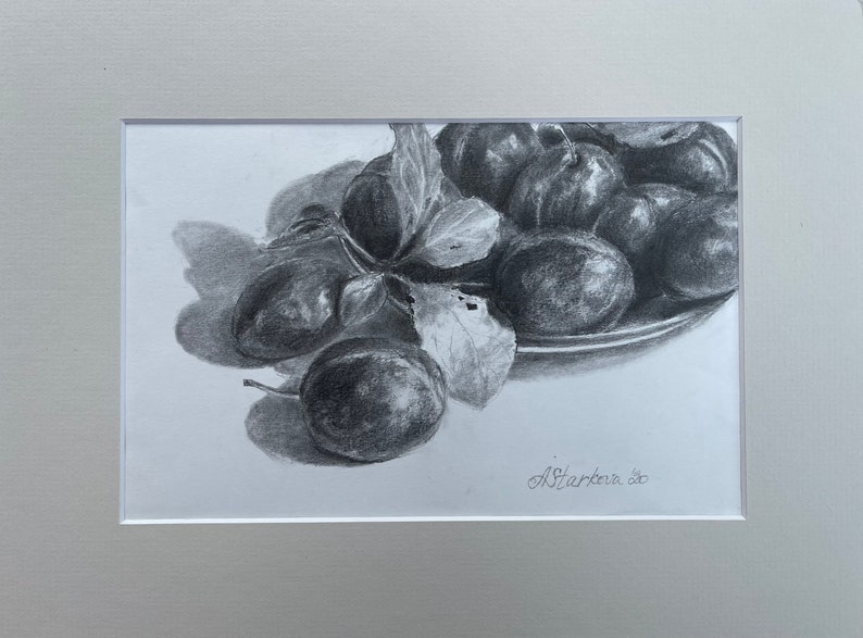 Original Graphite Pencil Drawing “plums Study” 6”x9” Still Life Sketch ...
