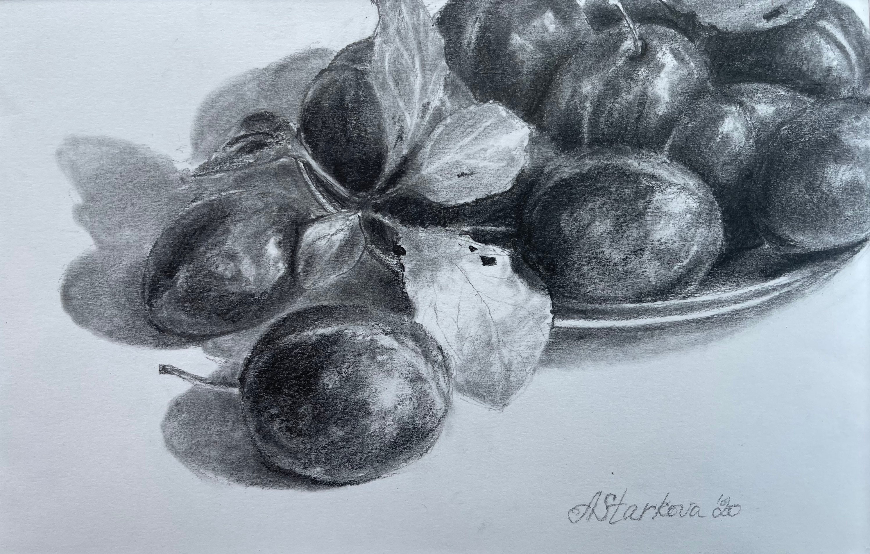 Original Graphite Pencil Drawing “plums Study” 6”x9” Still Life Sketch ...