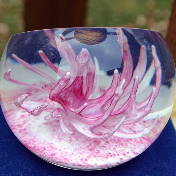 Paperweight Signed - Etsy