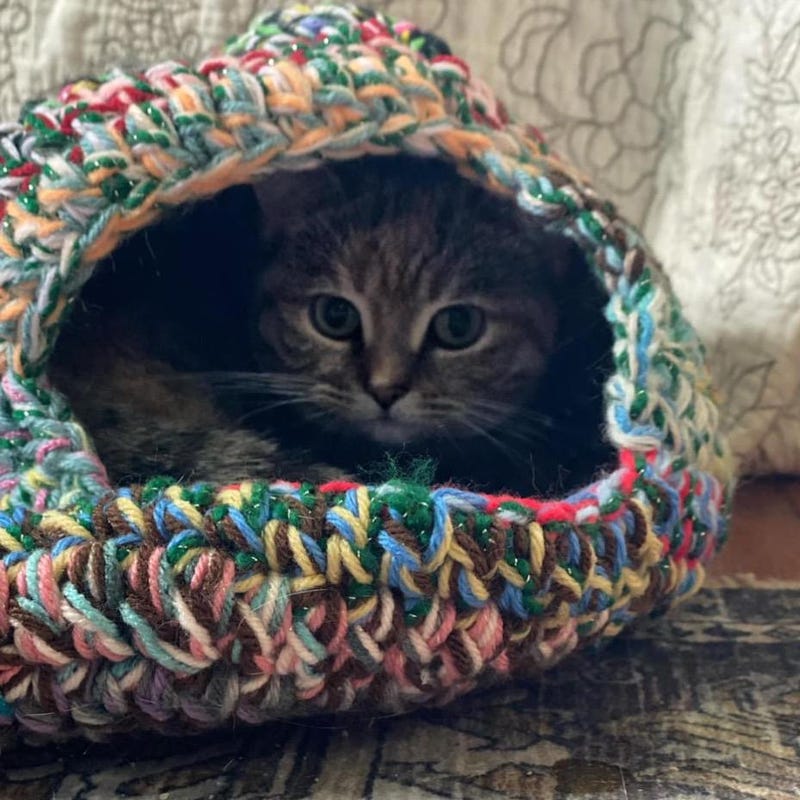 Cat Pod - Etsy