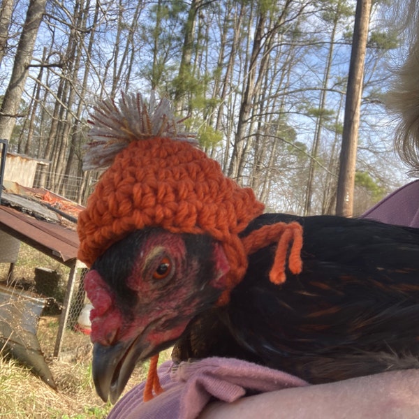 Chicken Hats - Etsy