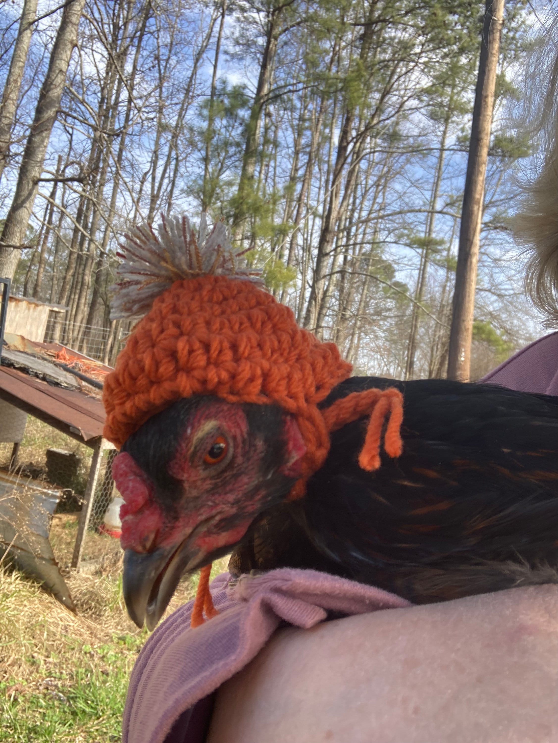 Chicken Hat - Etsy
