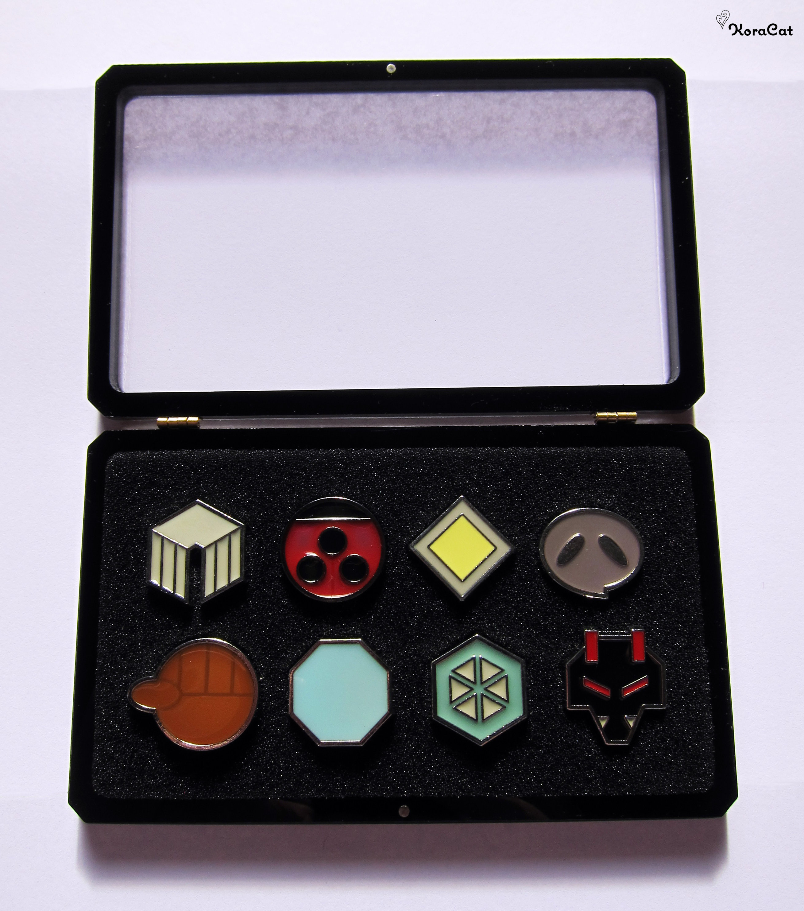 Pokemon Badge Case
