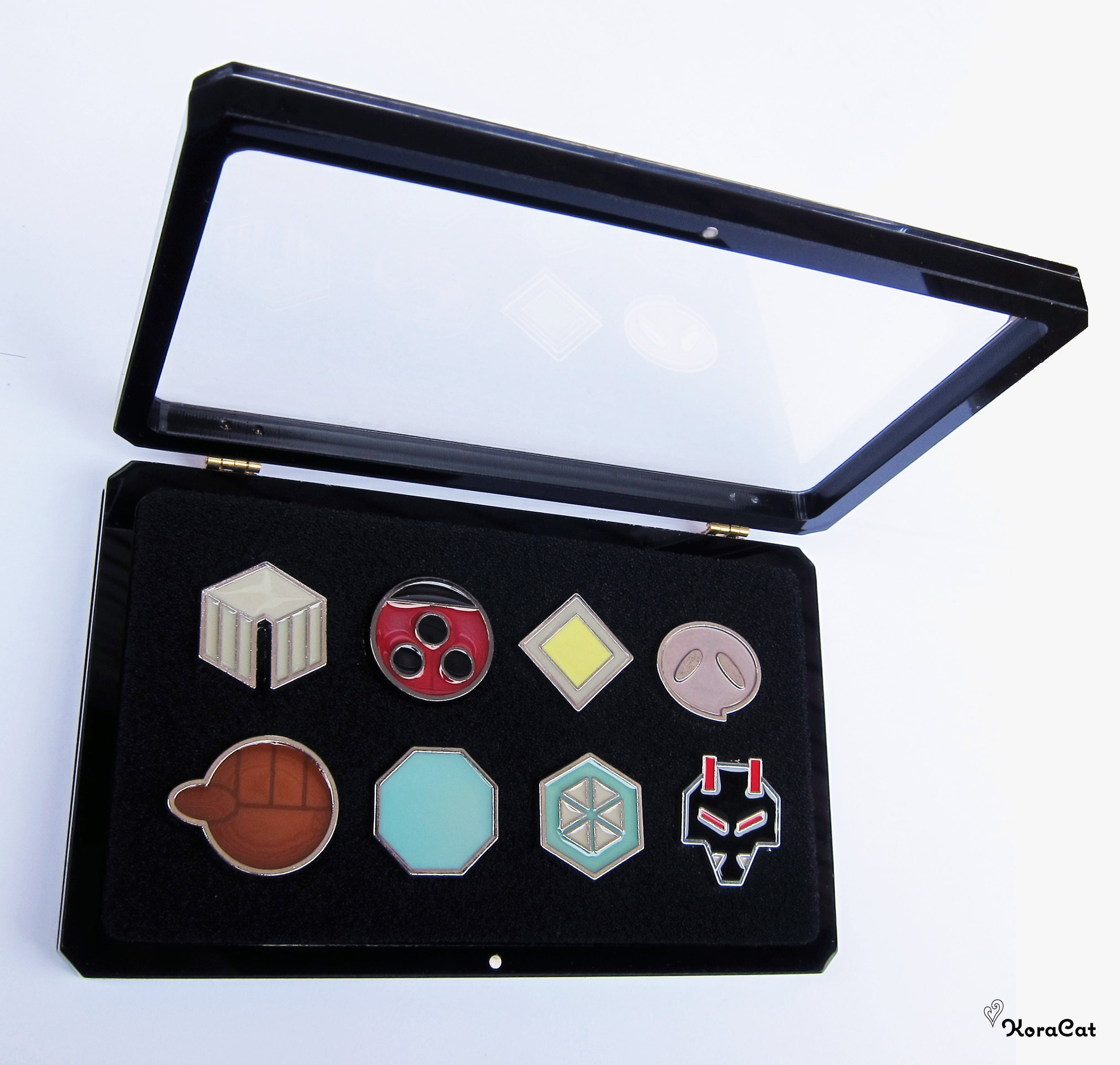 All Pokemon Badge Case