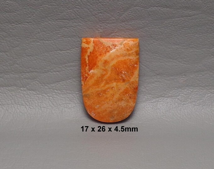 Fossilized Apple Coral Cabochon - Etsy