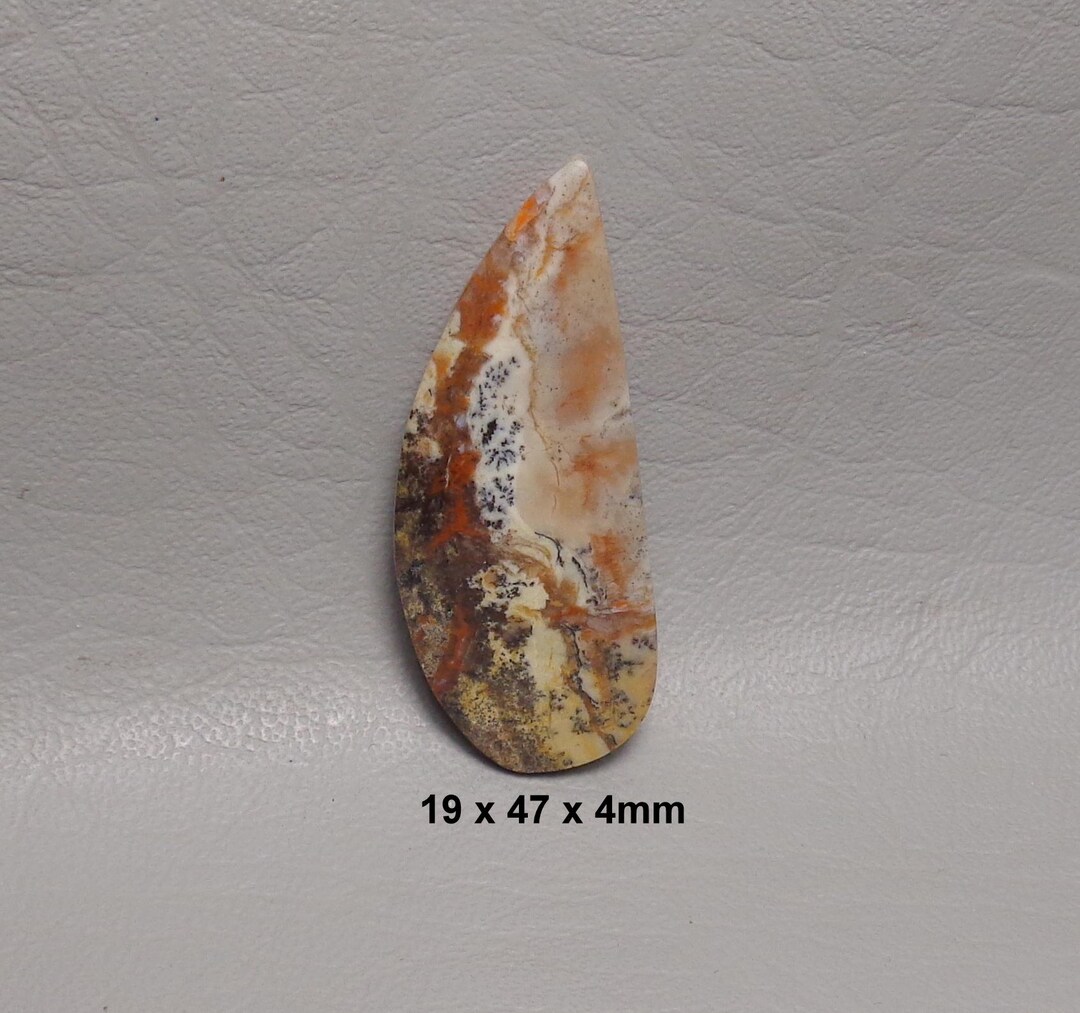 DINOSAUR COPROLITE Cabochon - Etsy