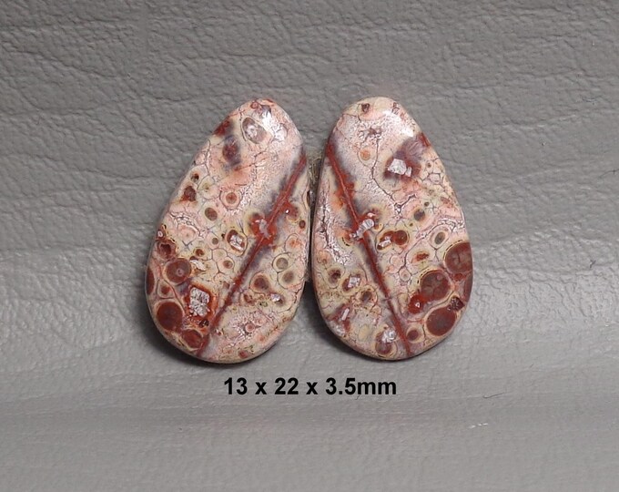 LEOPARD SKIN JASPER Cabochon Pair - Etsy