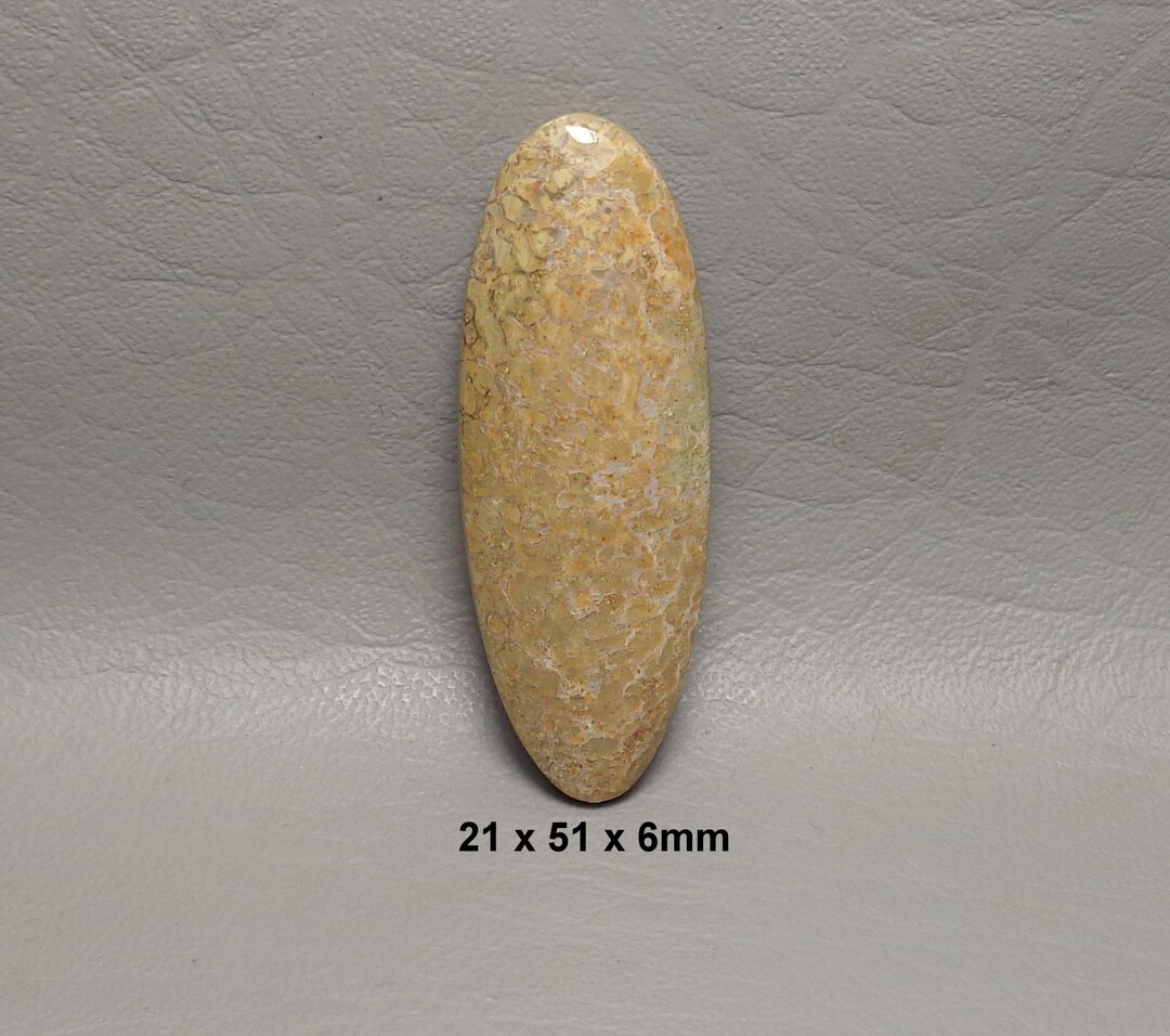 Yellow DINOSAUR BONE Cabochon - Etsy