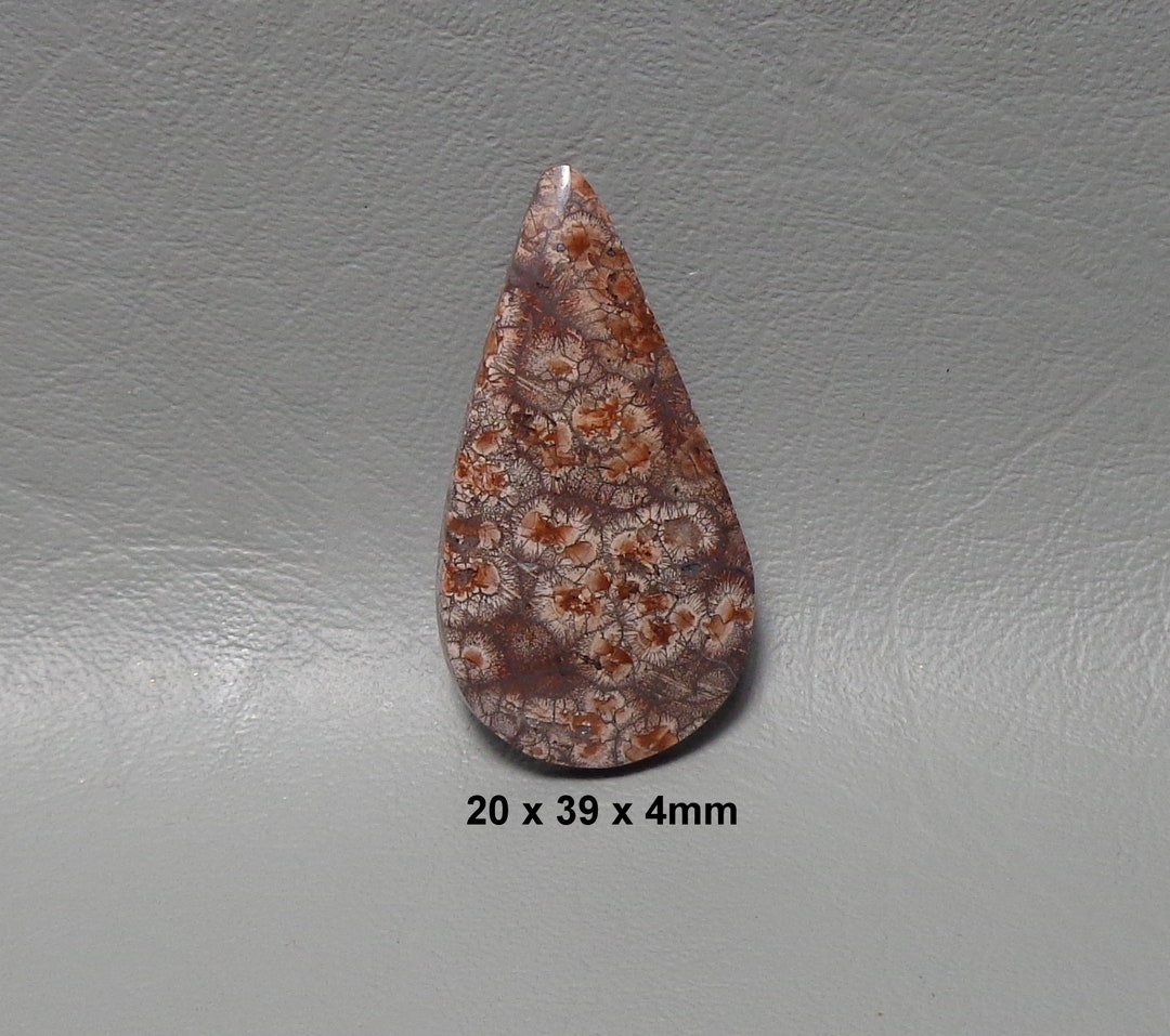 Birds Eye Rhyolite Cabochon - Etsy