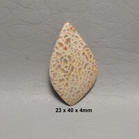 Hand Carved Bone Cabochon Talon Pendant Setting, Tusk Shape Jewelry ...