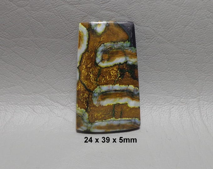 Rare!! Mammoth Molar Polished Wooly Mammoth Molar Tooth Cabochon - Etsy