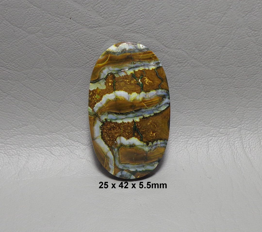 Rare!! Mammoth Molar Polished Wooly Mammoth Molar Tooth Cabochon - Etsy