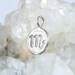Scorpio Silver Pendant Zodiac Sign Unique Scorpio Horoscope Pendant ...