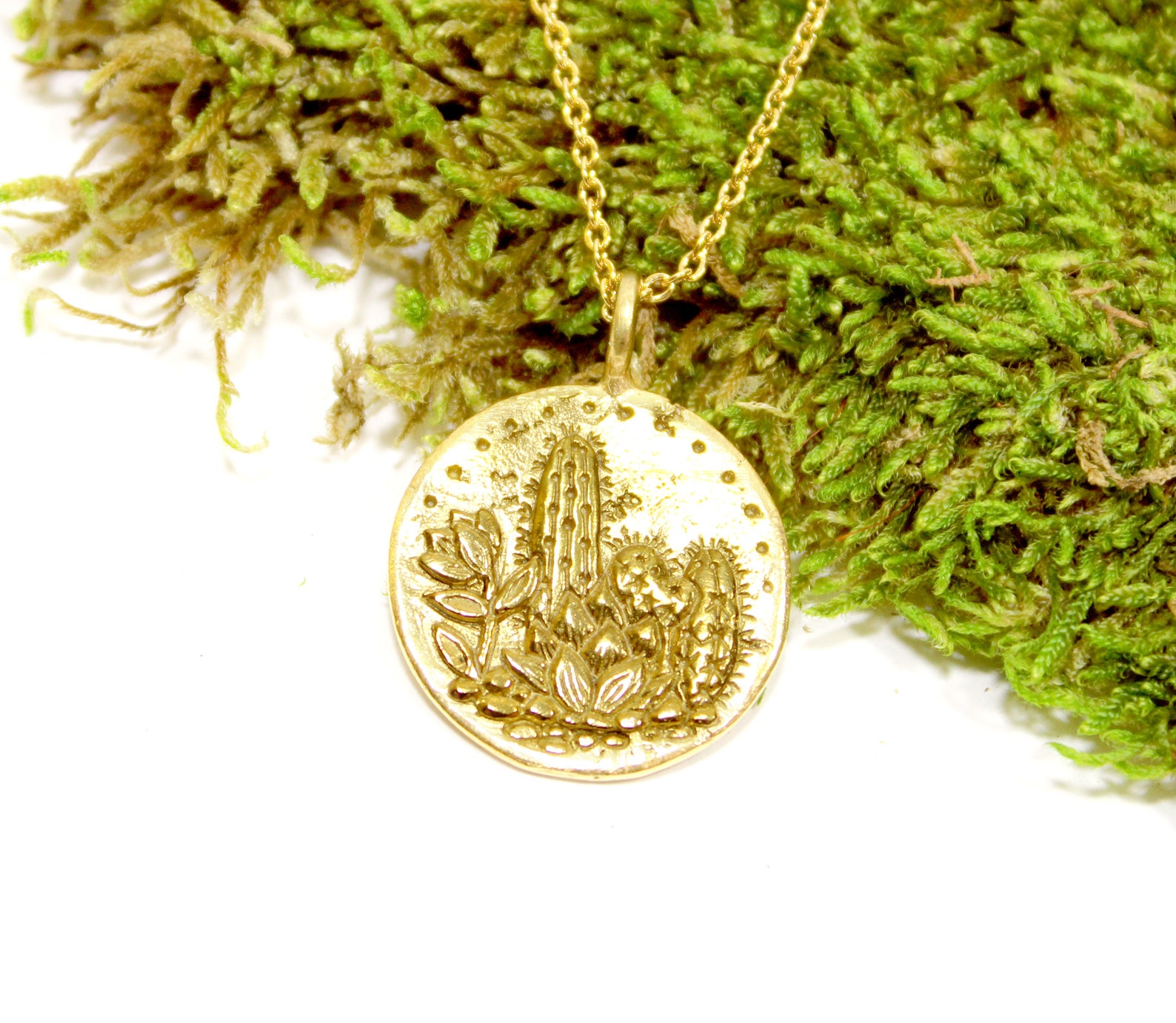 Succulent Cactus Pendant Plants GOLD Succulent Desert | Etsy