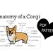 Welsh Corgi Anatomy of a Corgi Super Easy Small Cross Stitch PDF ...