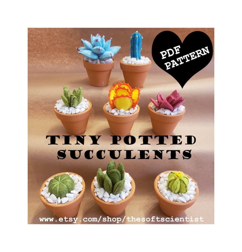 Tiny Potted Succulents PDF Pattern 8 in 1 Gift Miniature Plush Sewing ...