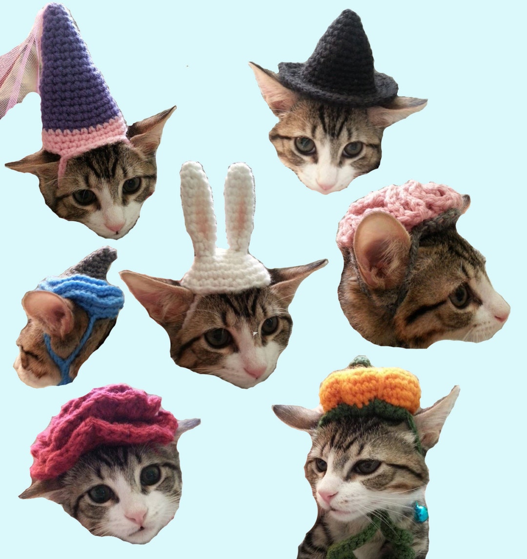 7 Cat Hat Patterns Halloween Costume Brain Pumpkin Witch Princess Rose ...