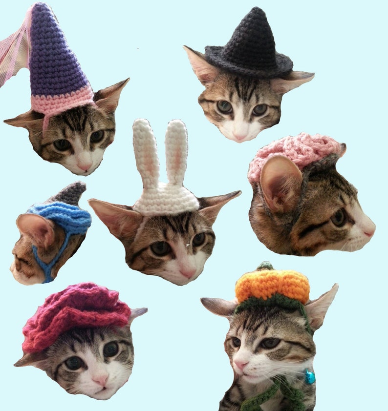 7 Cat Hat Patterns Halloween Costume Brain Pumpkin Witch - Etsy