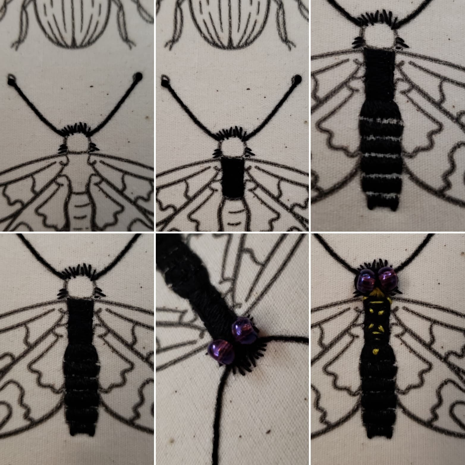 Insect Bugs Embroidery Pattern Entomology Cicada Dragonfly Stitchalong ...