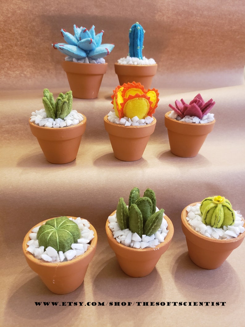 Tiny Potted Succulents PDF Pattern 8 in 1 Gift Miniature Plush Sewing ...