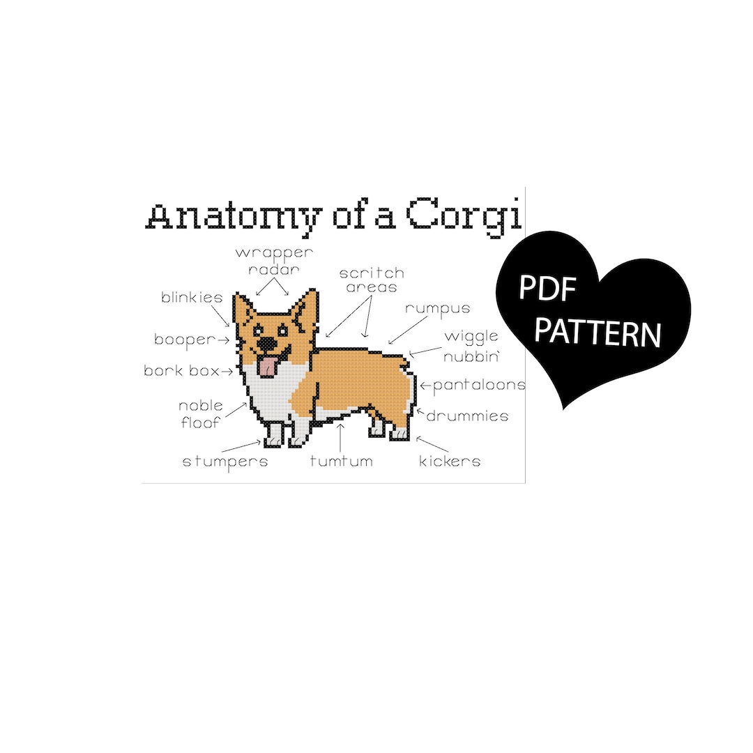 Welsh Corgi Anatomy of a Corgi Super Easy Small Cross Stitch PDF ...